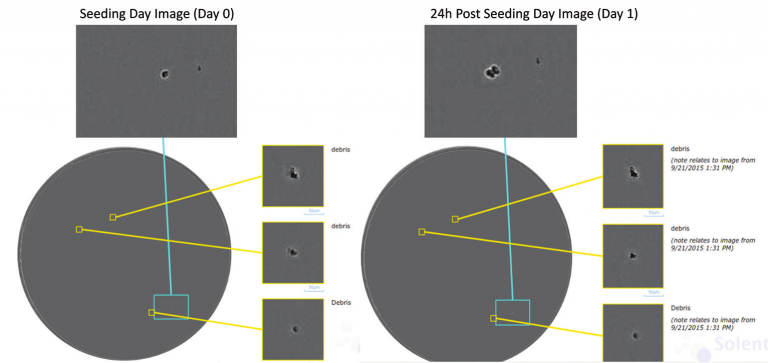 案例分析：使用Cell Metric™降低30%的时间构建表达双特异性抗体的单克隆细胞系 – TrioBio