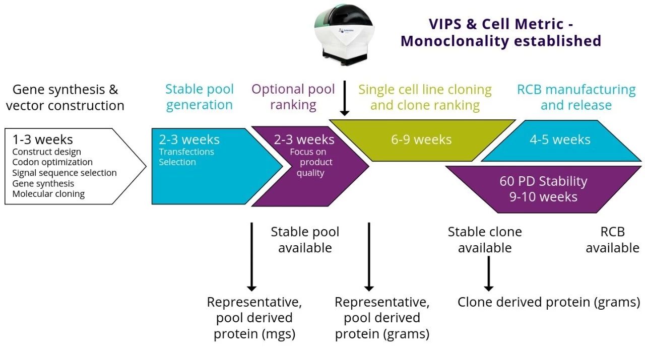 VIPS应用报告：从不到200个克隆中筛选出商用生产细胞株 – TrioBio