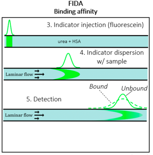 FIDA应用报告：评估蛋白的稳定性和功能性 – TrioBio