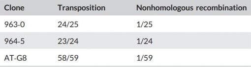 用LEAP-IN转座酶平台加速CMC开发并降低风险 – TrioBio