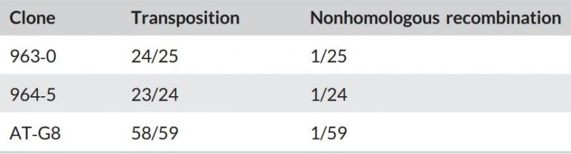 用LEAP-IN转座酶平台加速CMC开发并降低风险 – TrioBio