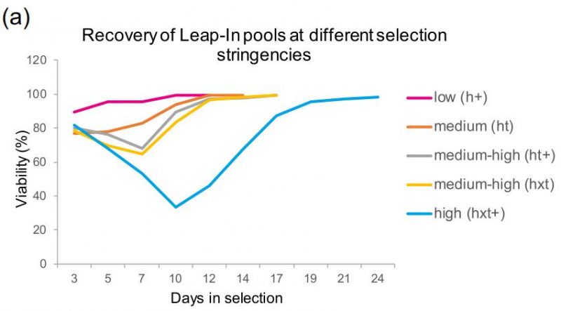 用LEAP-IN转座酶平台加速CMC开发并降低风险 – TrioBio