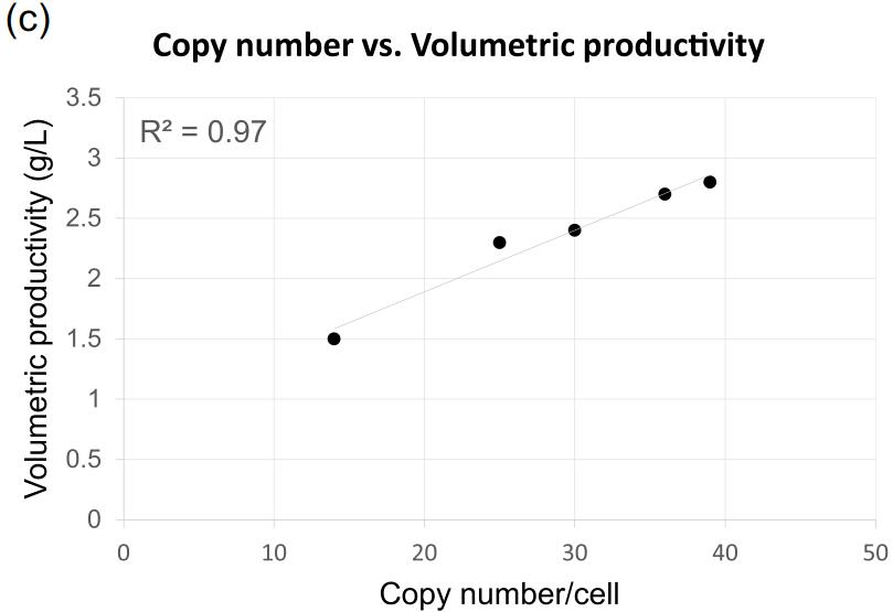 用LEAP-IN转座酶平台加速CMC开发并降低风险 – TrioBio